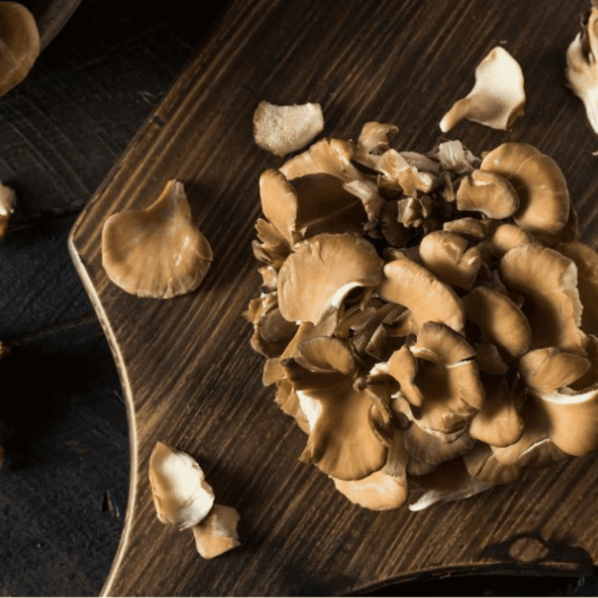 Ázijské huby: spoznajte účinky 6 najznámejších | GSKlub.sk