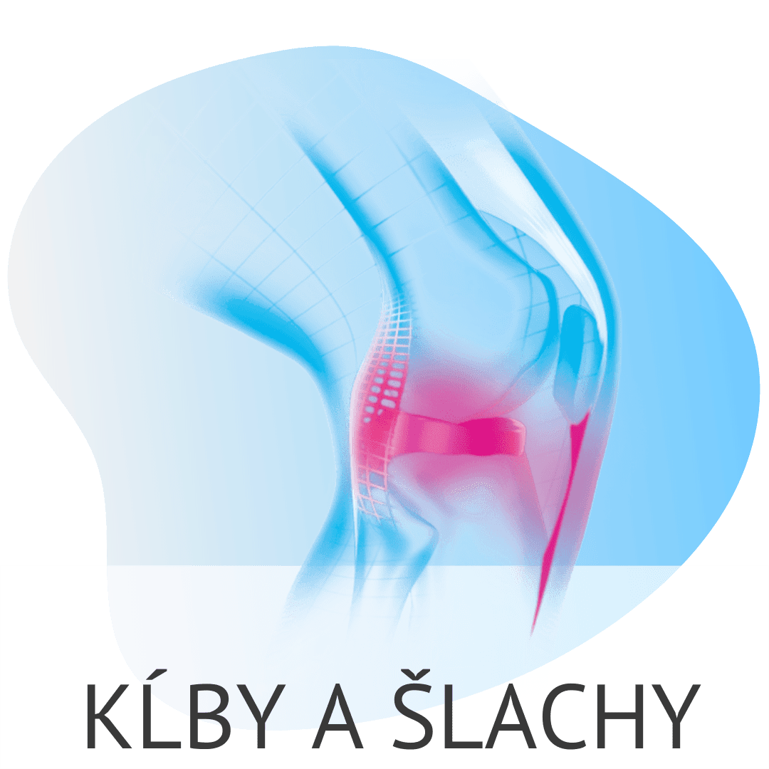 Výživové doplnky na kĺby, väzy a šľachy | GSKlub.sk