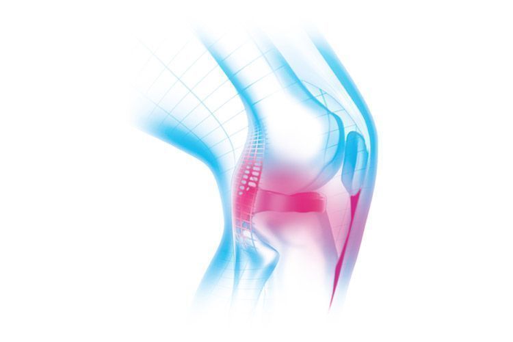 Kategória: Kĺby a väzy - GSklub.sk